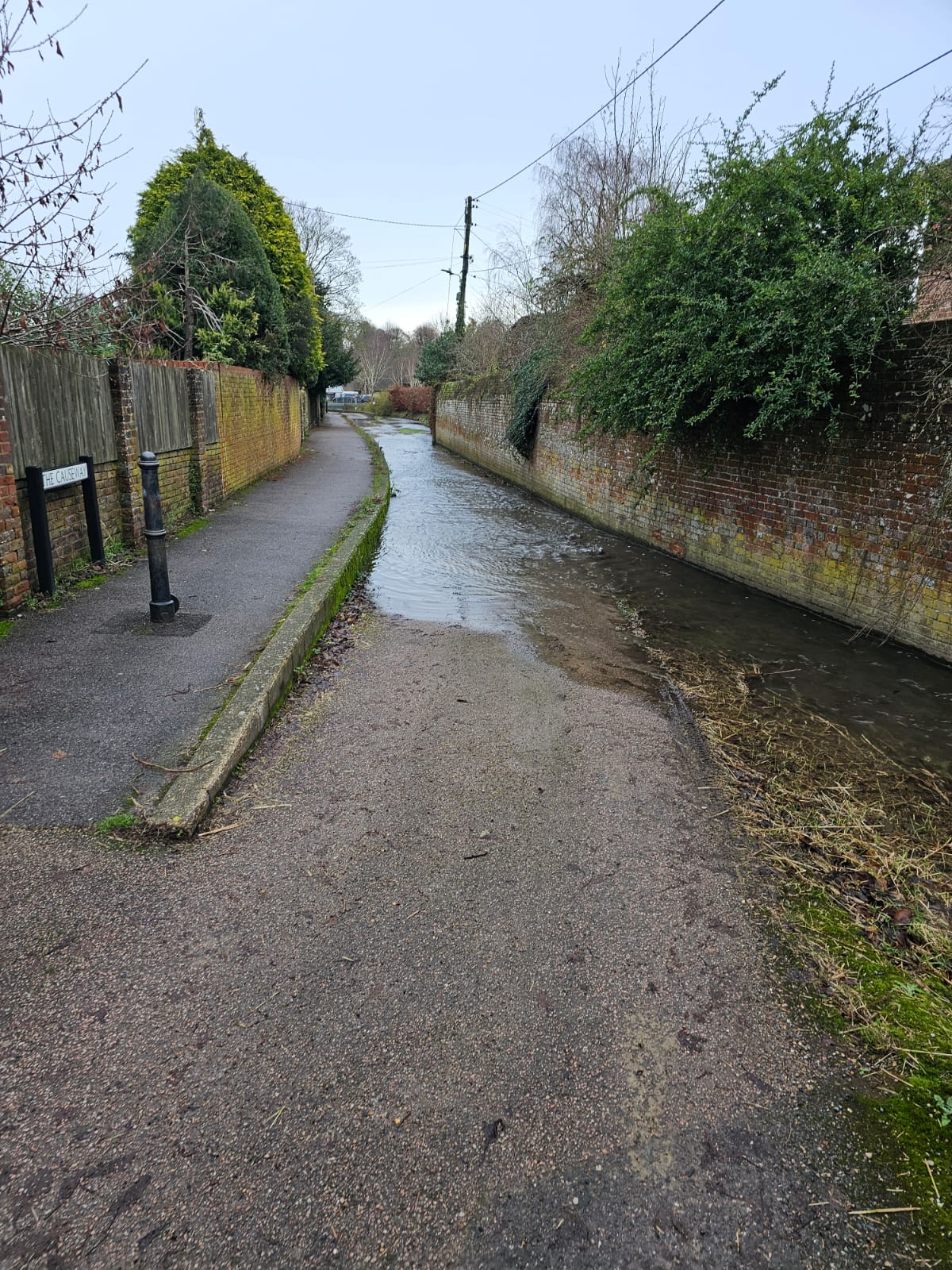 Close monitoring taking place as Nailbourne flows - Canterbury Newsroom